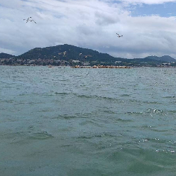 RoboRTS-Tutorial: RoboRTS-Tutorial 国内镜像